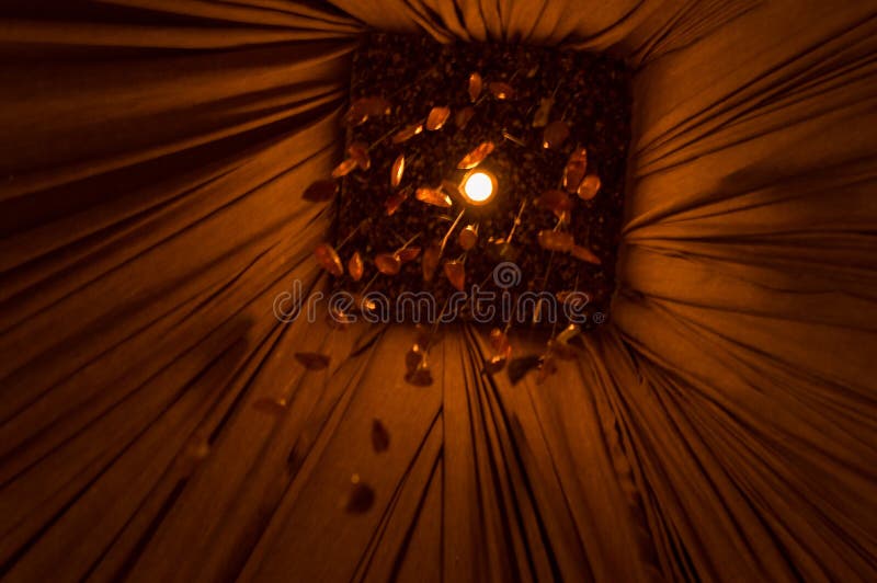 Amber light stock photo. Image of filled, flower, mother - 120658748