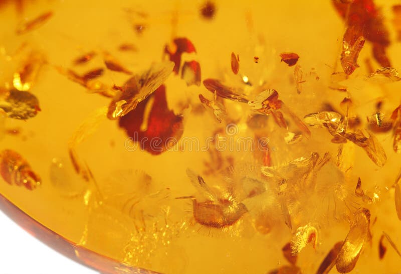Amber macro stock photo. Image of jewelry, tree, fossilized - 20692876