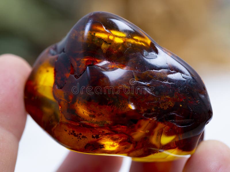 .amber, Mineral Specimen Stone Rock Geology Gem Crystal Stock Photo ...