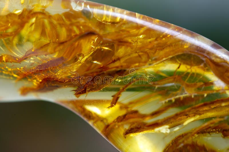 .amber, Mineral Specimen Stone Rock Geology Gem Crystal Stock Image ...