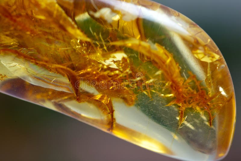 .amber, Mineral Specimen Stone Rock Geology Gem Crystal Stock Image ...