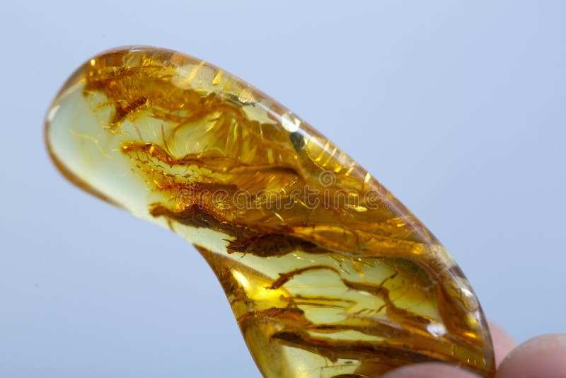.amber, Mineral Specimen Stone Rock Geology Gem Crystal Stock Photo ...