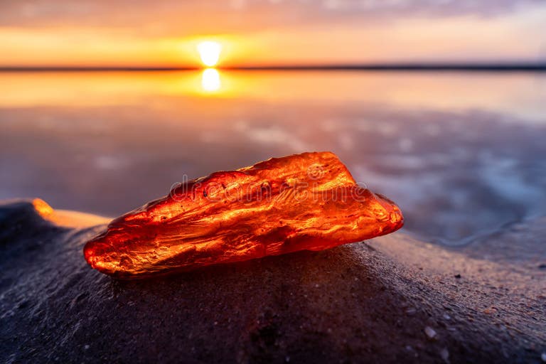 Amber at sunset stock image. Image of shiny, specimen - 391791185