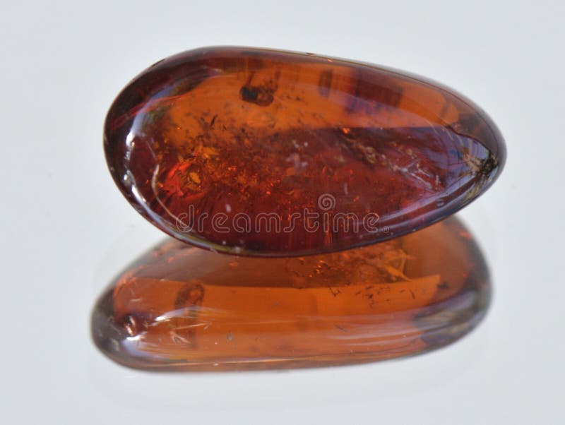 Translucent Amber Sample. Close-up of Small Sample of Translucent Amber ...