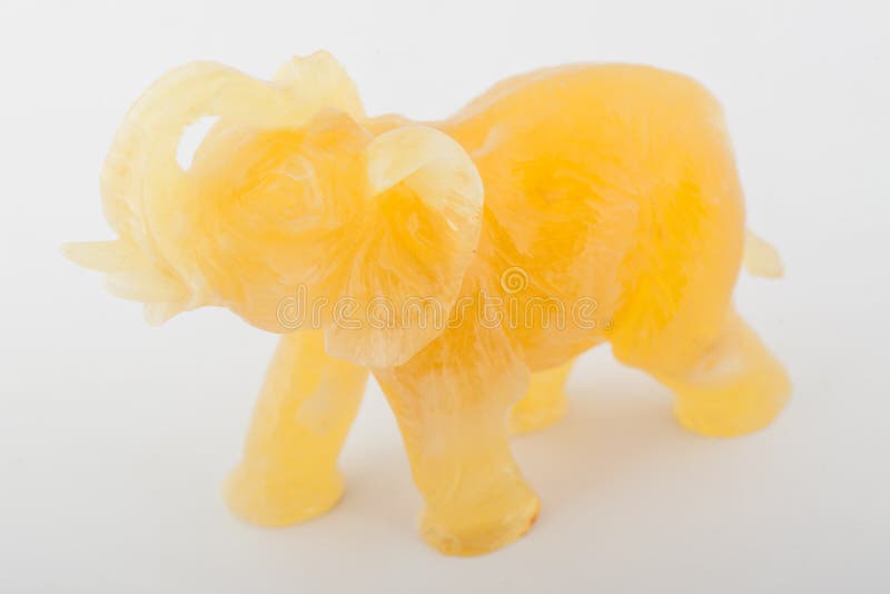 Amber, Elephant Isolated on White Stock Image - Image of isolated ...