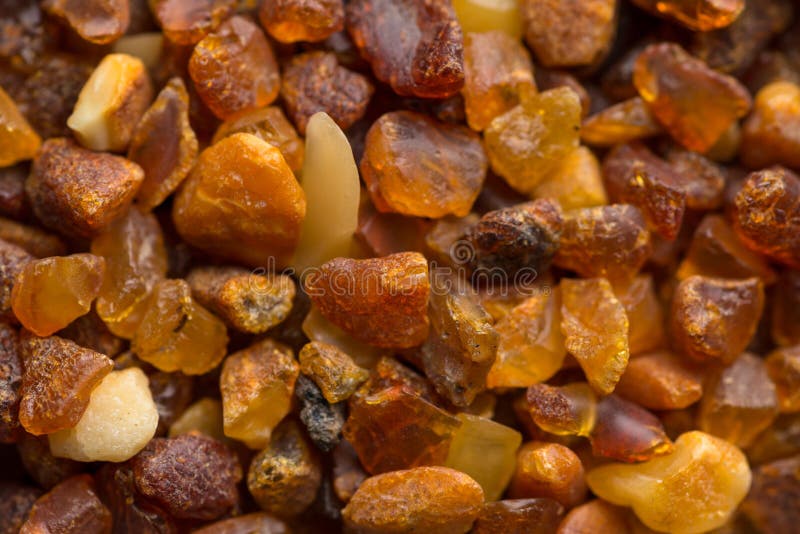 Amber Stones from the Beach of the Baltic Sea Stock Photo - Image of ...