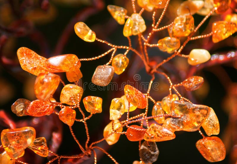 Amber stones stock image. Image of group, tree, baltic - 33925203