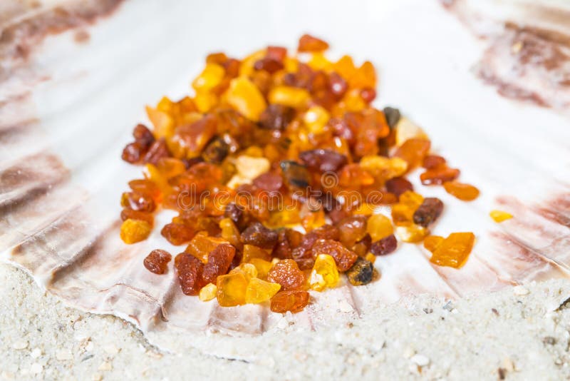 Amber stock photo. Image of closeup, stone, macro, expensive - 45421248