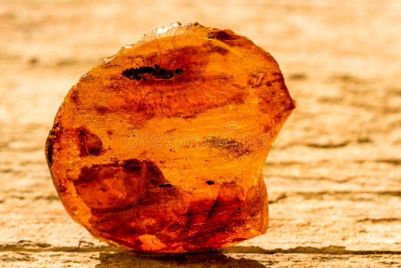 Amber in Sun with Inclusions Stock Image - Image of inclusions ...