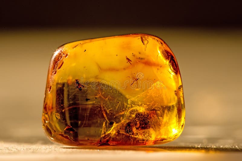Amber with inclusions stock photo. Image of amber, gemstone - 119575568