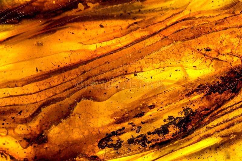 Amber in Sun with Inclusions Stock Image - Image of color, decoration ...