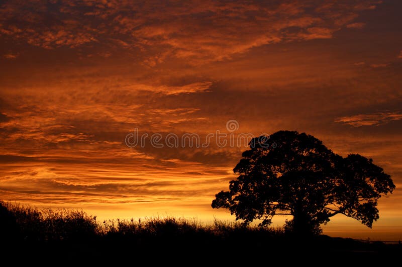 Amber Sunrise stock image. Image of tranquil, black, morning - 12318643