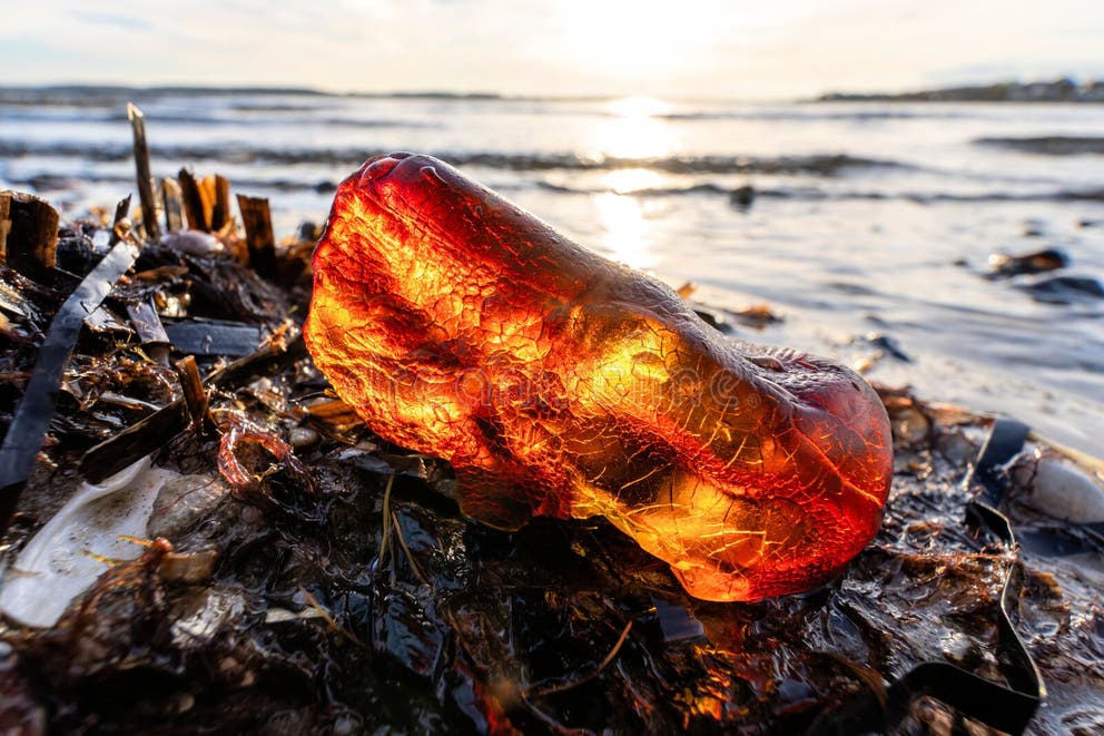 Amber at sunset stock image. Image of holidays, bliss - 350487613