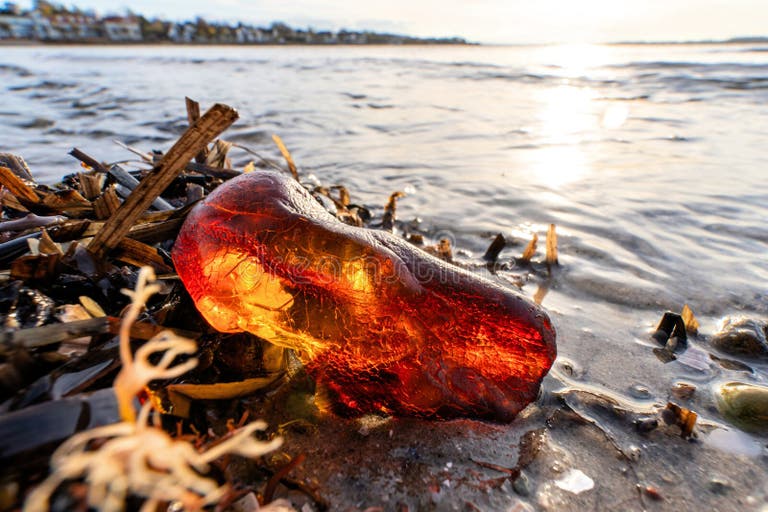 Amber at sunset stock photo. Image of waterside, resin - 350487724