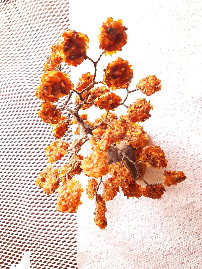 Amber tree stock image. Image of intresting, white, suvenier - 128438017