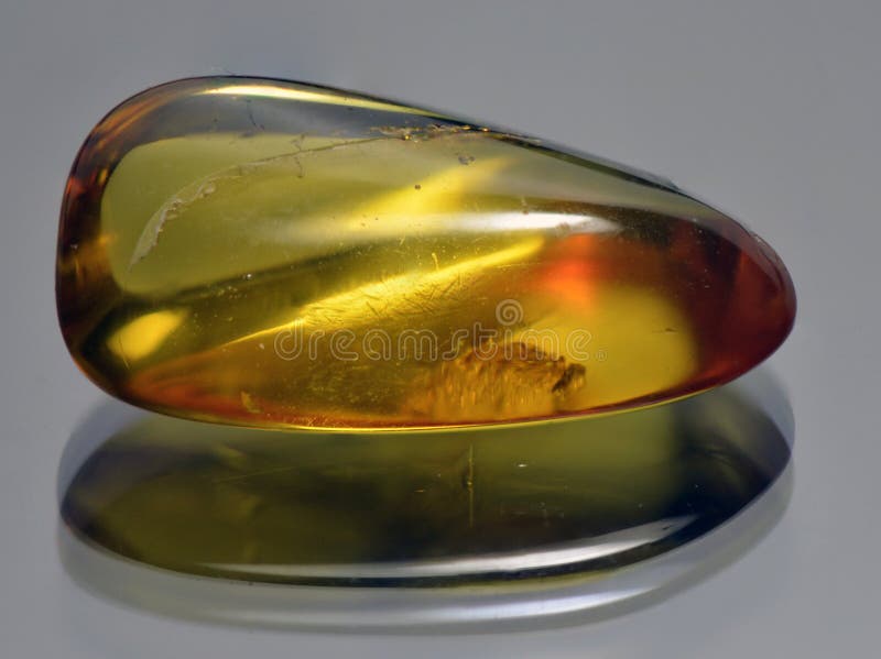 Amber yellow translucent stock photo. Image of amber - 101770200