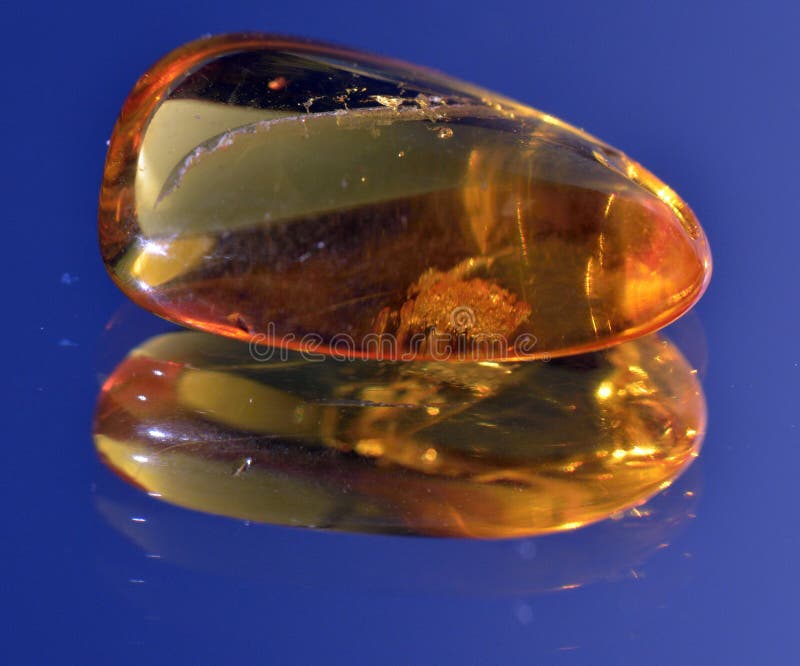 Amber yellow translucent stock photo. Image of yellow - 101717120