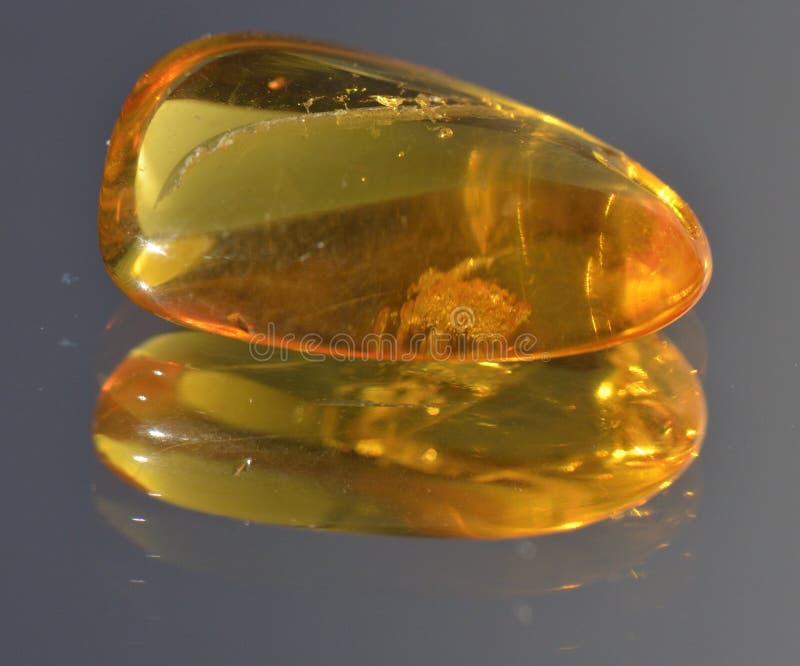 Amber yellow translucent stock photo. Image of yellow - 101717120