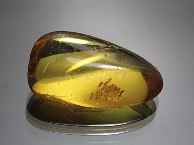 Amber yellow translucent stock photo. Image of translucent - 101717120