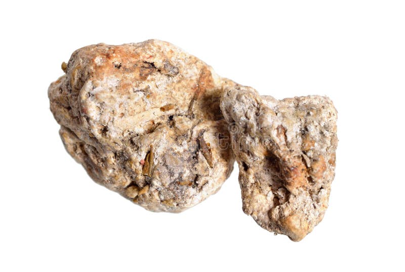 Ambergris, Ambre Gris, Ambergrease or Grey Amber. Isolated on White ...