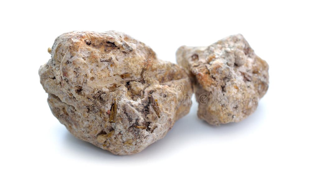 Ambergris, Ambre Gris, Ambergrease Ou Ambre Gris Isolé Sur Fond Blanc ...