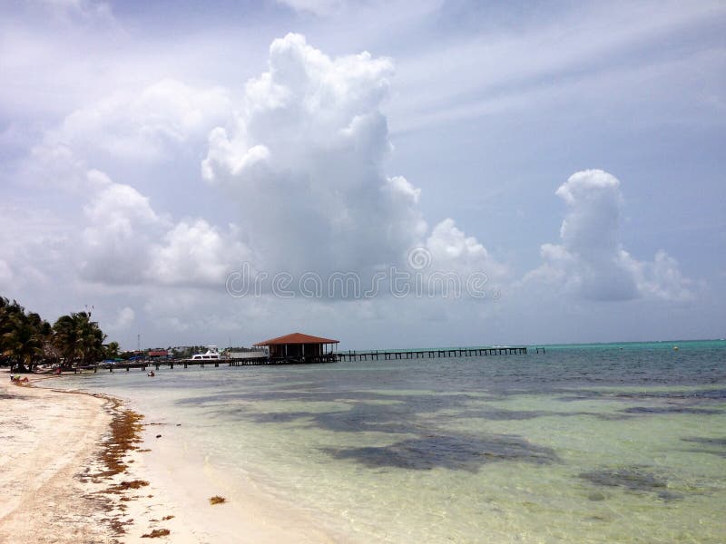 Ambergris Caye beach stock photo. Image of ambergris - 99786926