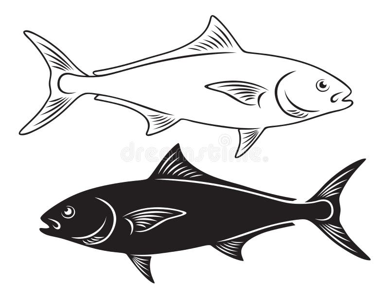 Amberjack Stock Illustrations – 147 Amberjack Stock Illustrations ...