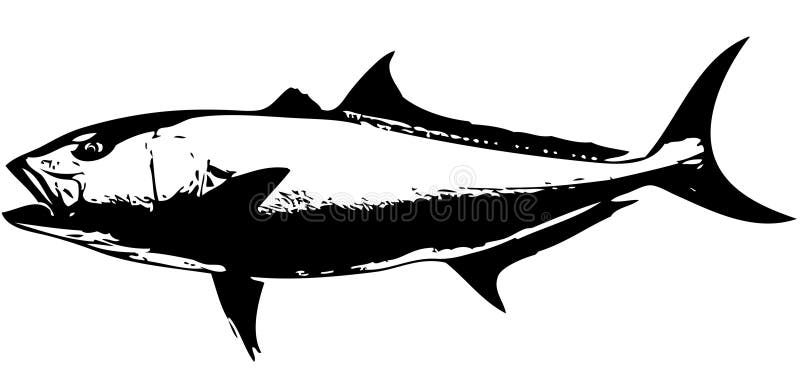 Amberjack fish vector stock vector. Illustration of flies - 47543282