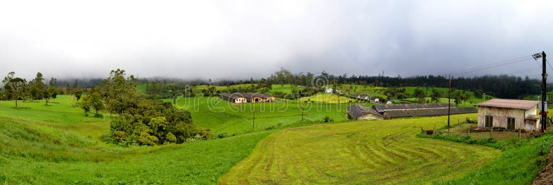 Ambewela Farm stock image. Image of nature, beautiful - 22539681