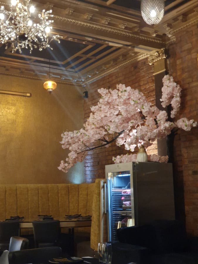 Ambience Restaurant Elegance Quiet Eat Stock Image - Image of elegance ...