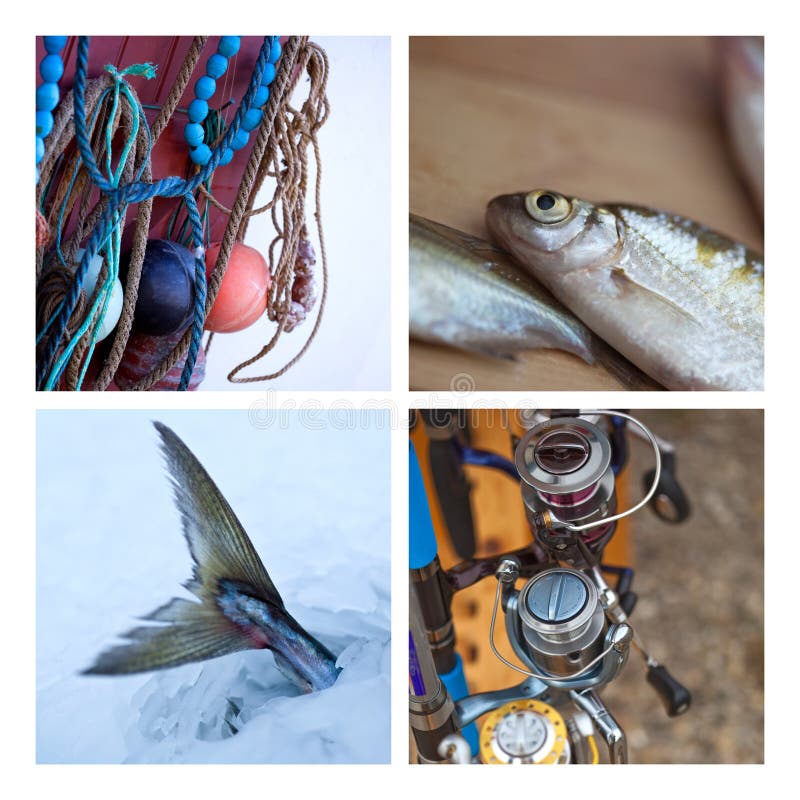 Collage De La Pesca Fotos De Stock - Download 270 Fotos Libres de Derechos