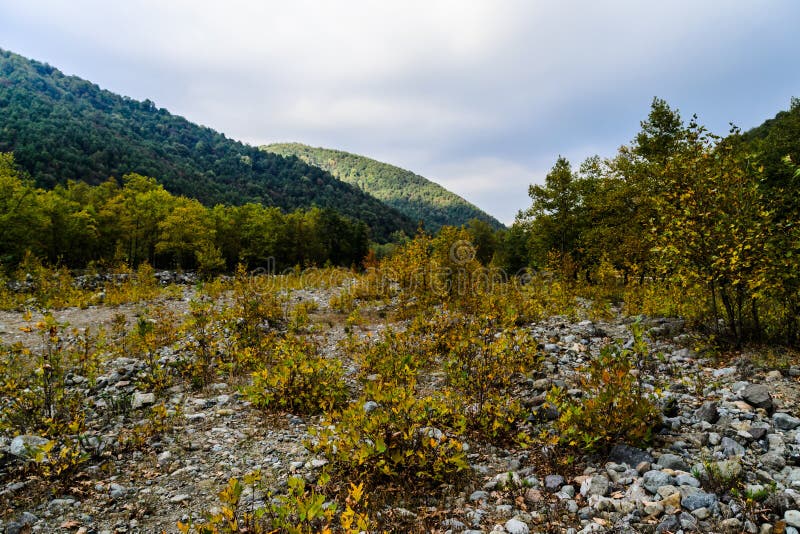 Ambiente Natural Del Paisaje Imagen de archivo - Imagen de viaje ...
