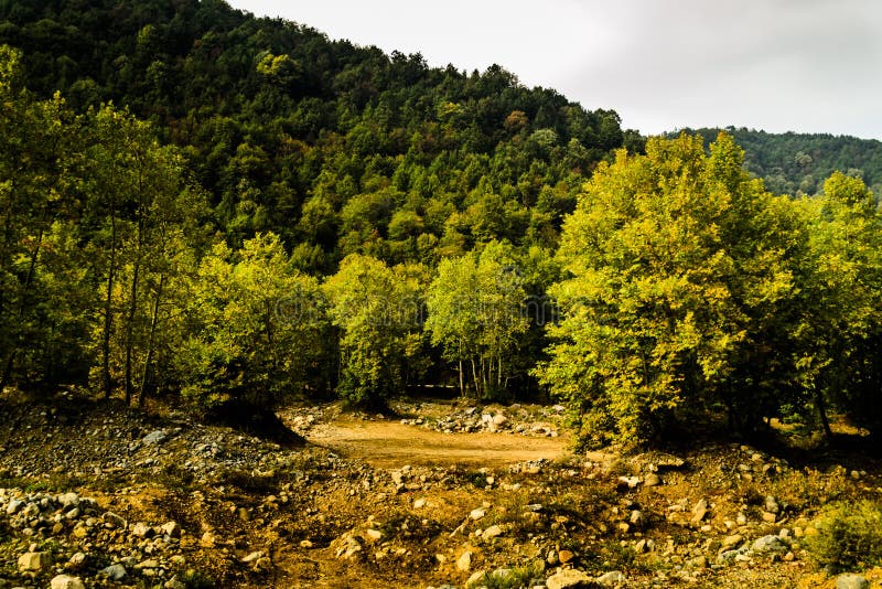 Ambiente Natural Del Paisaje Foto de archivo - Imagen de caminata ...