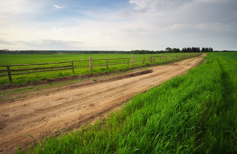 Ambiente rural imagem de stock. Imagem de agricultura - 23832291