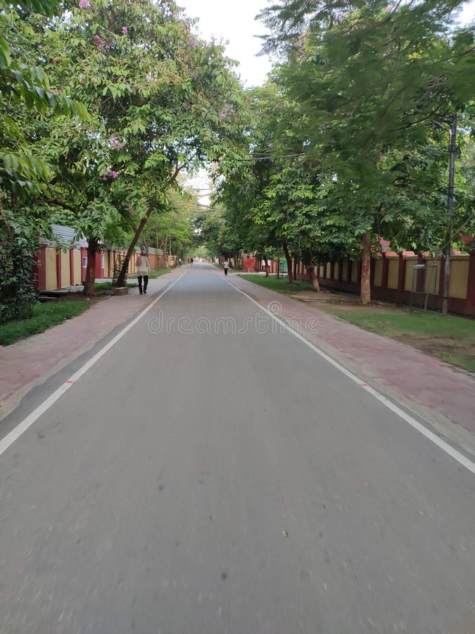 Ambiente Silencioso Do Efeito De Fundo Do Verde Da Rua Imagem de Stock ...