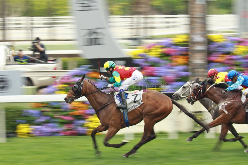Ambitious Dragon Win! editorial stock photo. Image of piguet - 19358373