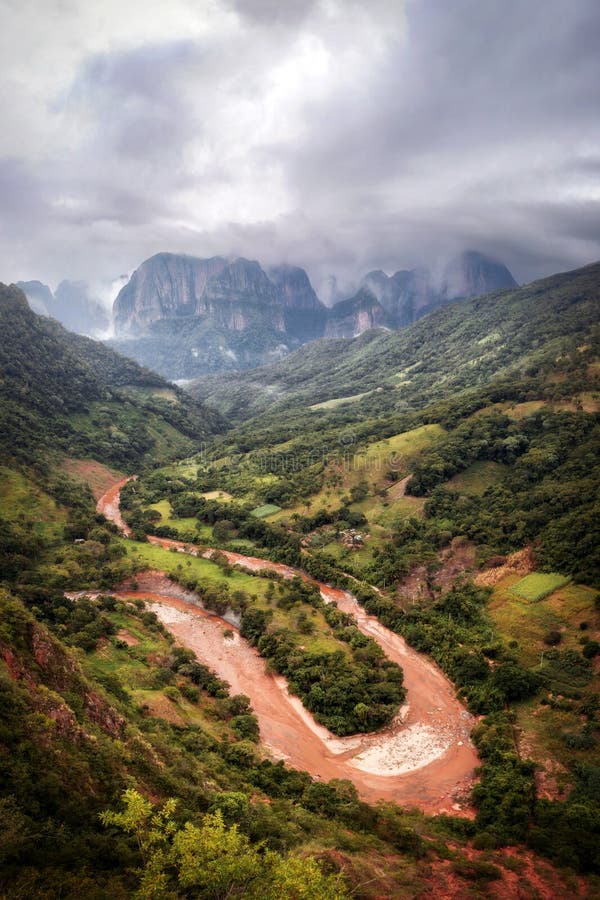 Amboro National Park, Amazon Forest in Bolivia Stock Photo - Image of ...