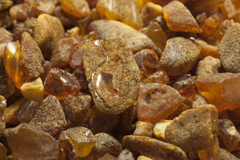 Ambra grezza fotografia stock. Immagine di fossile, bellezza - 50178864