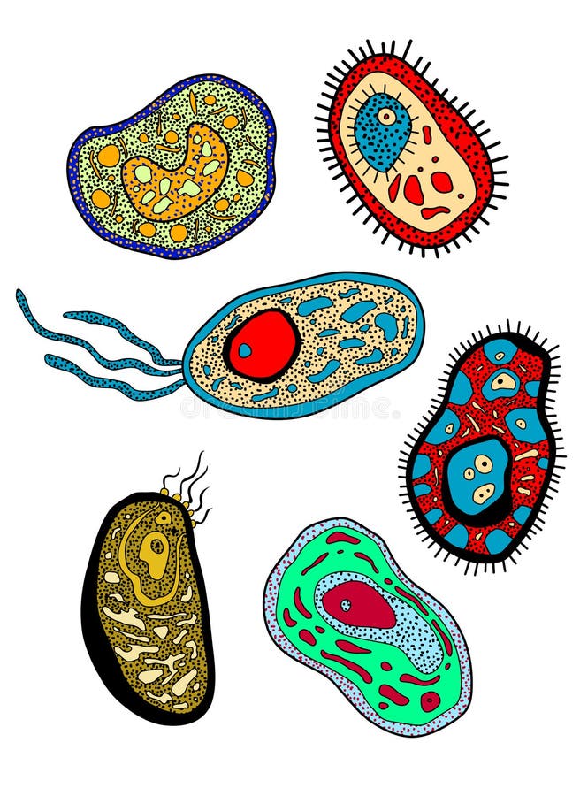 Amebas, Amibes, Microbes Et Germes Réglés Illustration de Vecteur ...