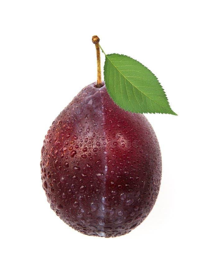 Ameixa foto de stock. Imagem de roxo, grupo, fruta, doce - 37674492