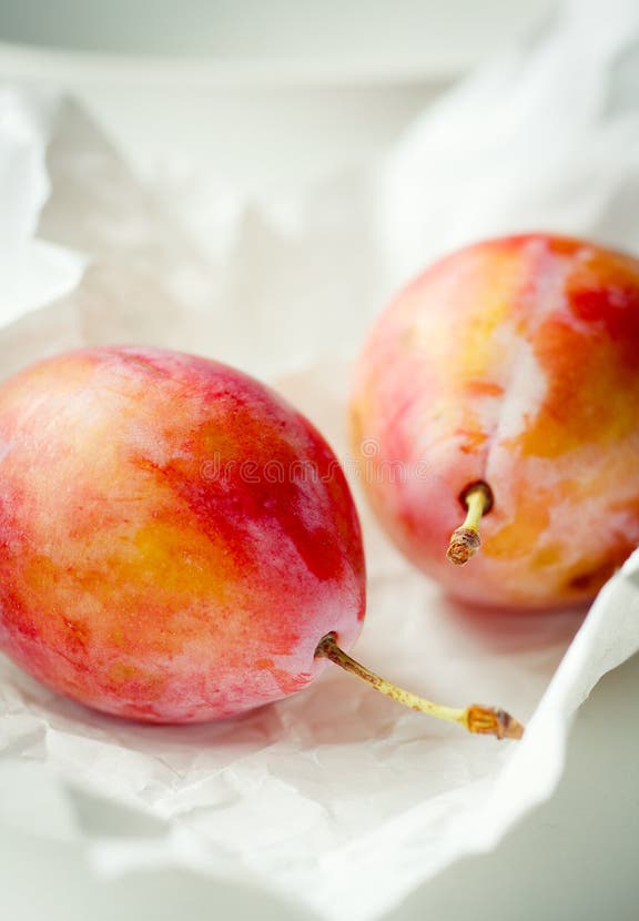 Ameixas imagem de stock. Imagem de delicioso, sazonal - 15804137