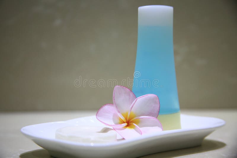 Amenities stock image. Image of conditioner, body, five - 17150341