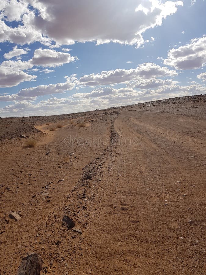 Sunny day desert texas stock photo. Image of sunny, desert - 110481788