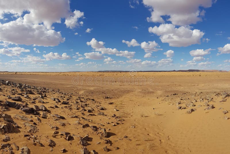 America texas sunny day stock photo. Image of sunny - 110480908