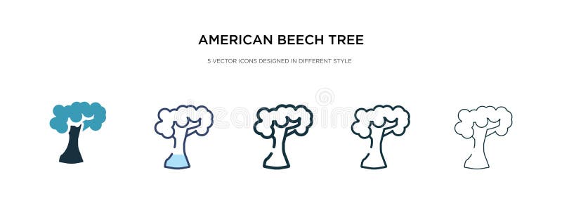 American Beech Tree Icon in Different Style Vector Illustration. Two ...