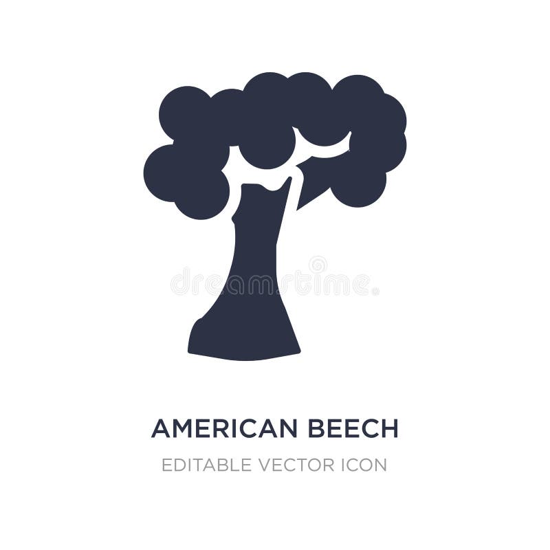 American Beech Tree Icon on White Background. Simple Element ...