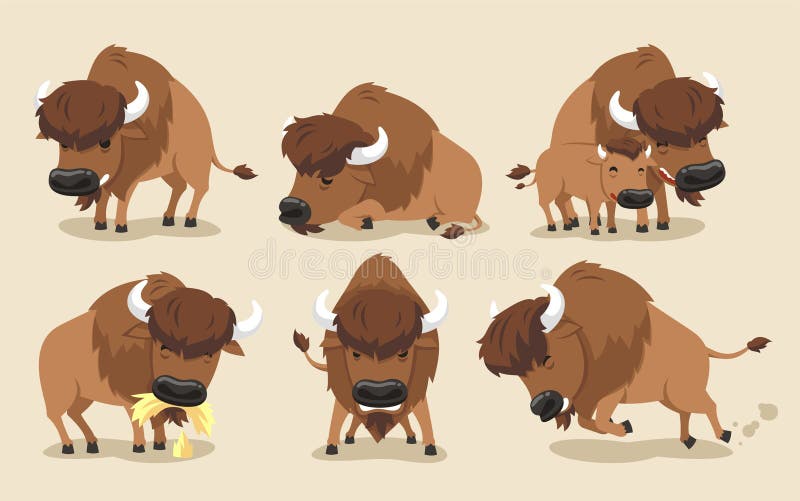 American Bison Buffalo Set stock illustration. Illustration of mammal ...