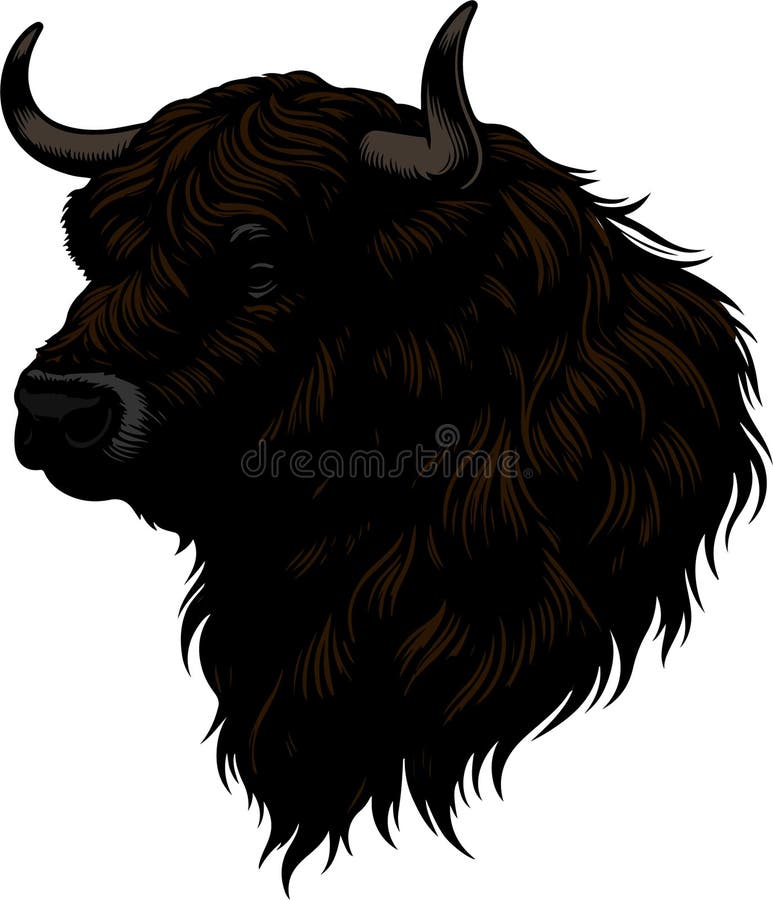 American Bison Stock Illustrations – 6,119 American Bison Stock ...