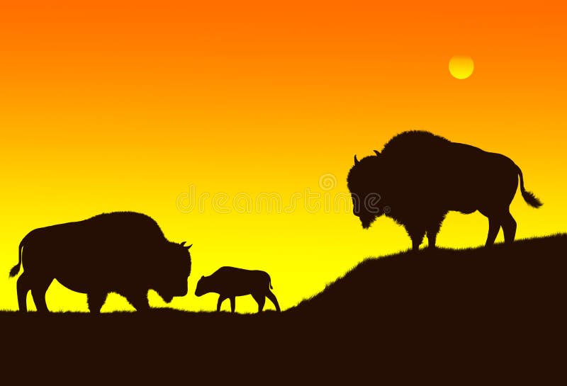 American Bison with Their Calf Outdoors at Sunset Stock Illustration ...