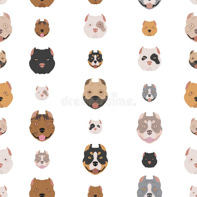 American Bully Dogs Set. Color Varieties, Different Poses Stock Vector ...